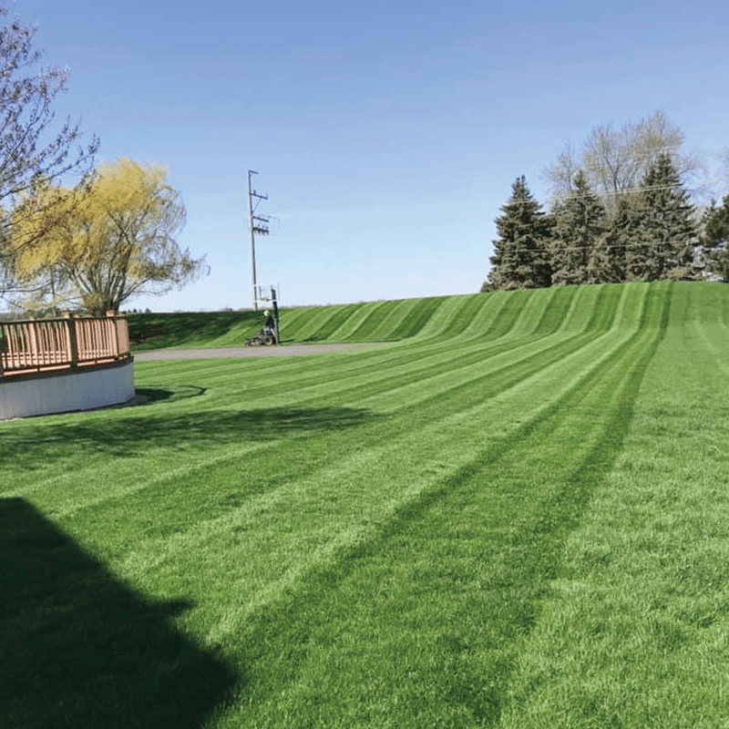 Cesar's Landscaping